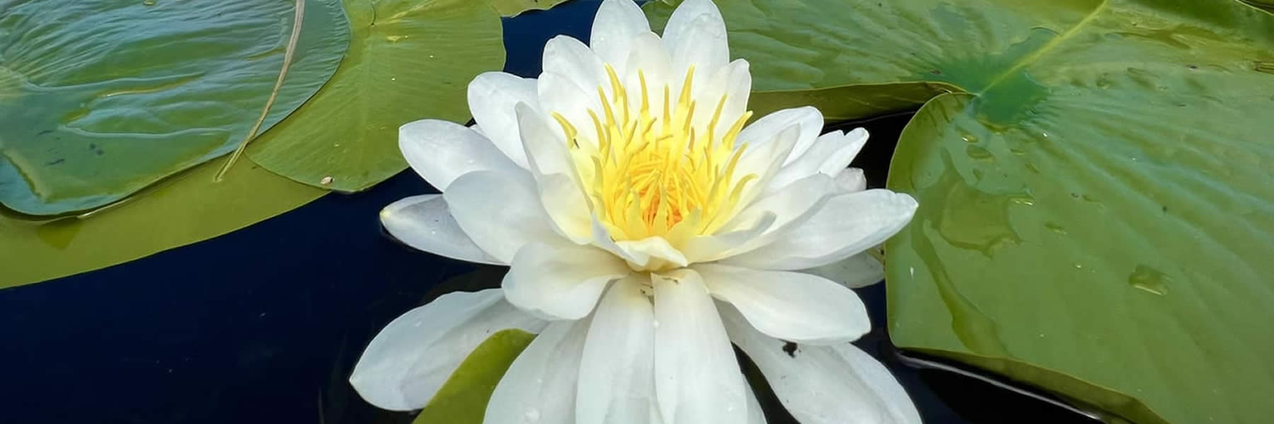 Meeting Minutes | Star Lake in Ottertail County